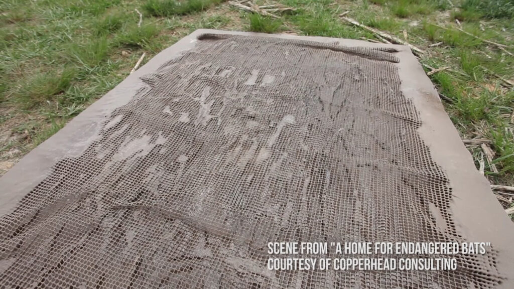 Flexbark – Realistic, Flexible Faux Bark and Trees