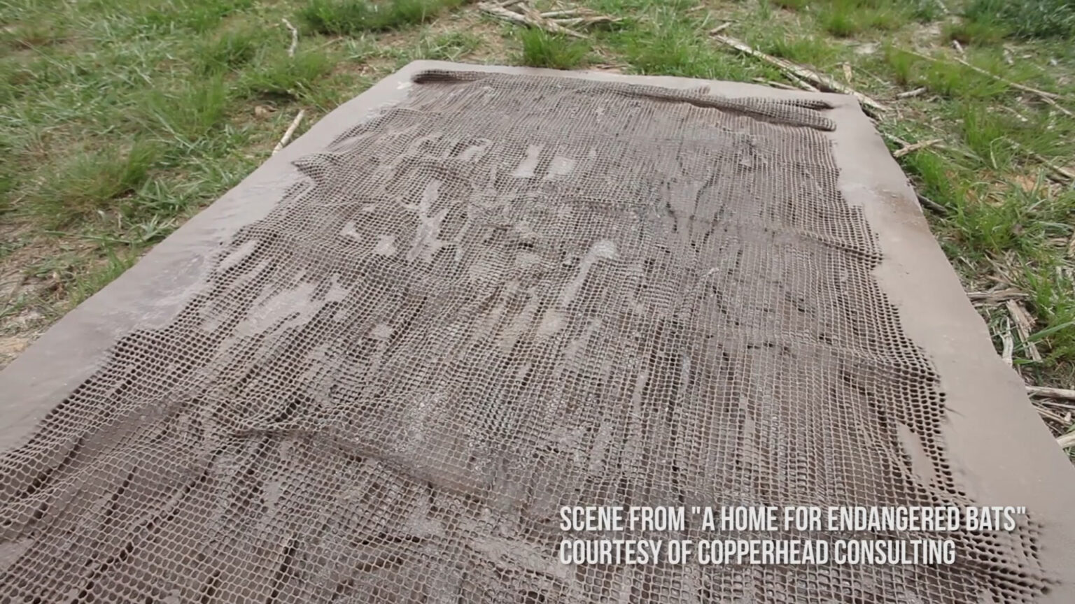 Flexbark – Realistic, Flexible Faux Bark and Trees